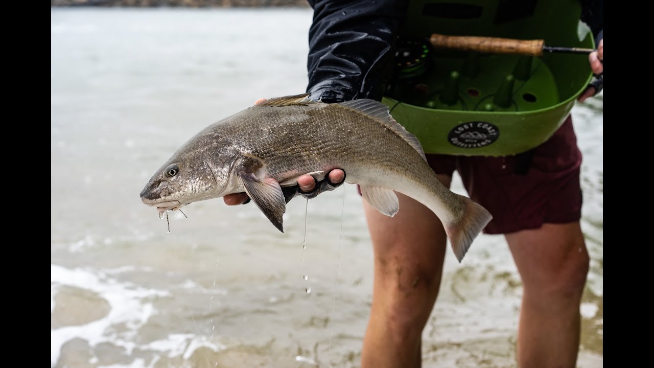 Fly Fishing The California Coast : Catalina Island and Los Angeles ...