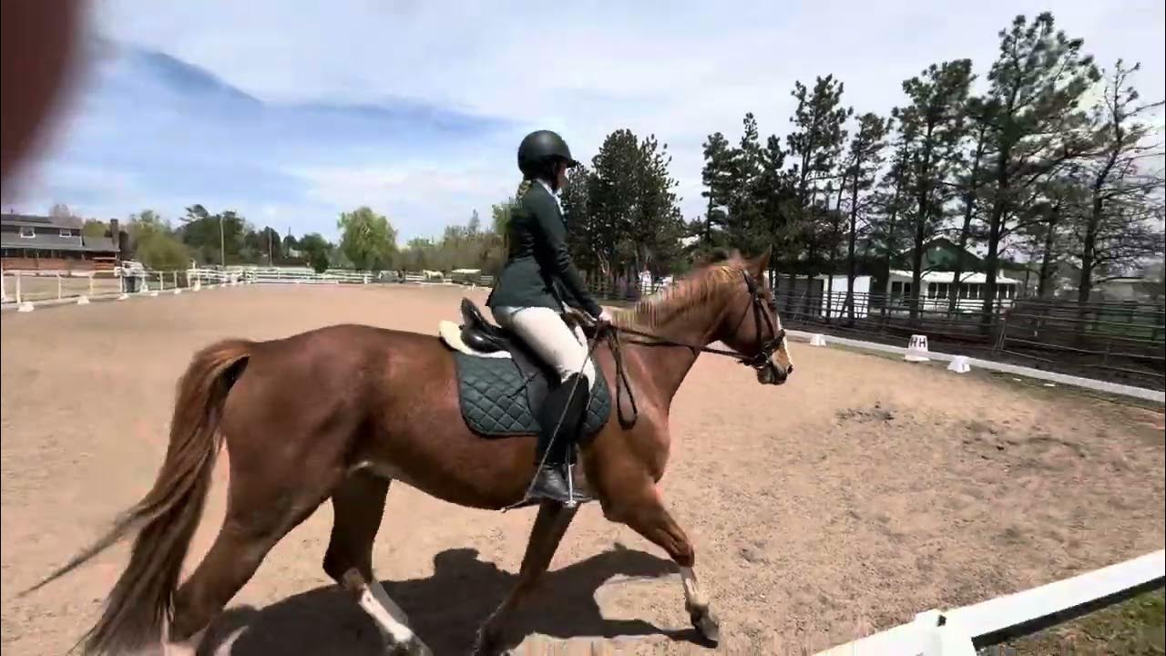 Dressage Show Online - USDF Intro C (2023) - May 5, 2024 - YouTube