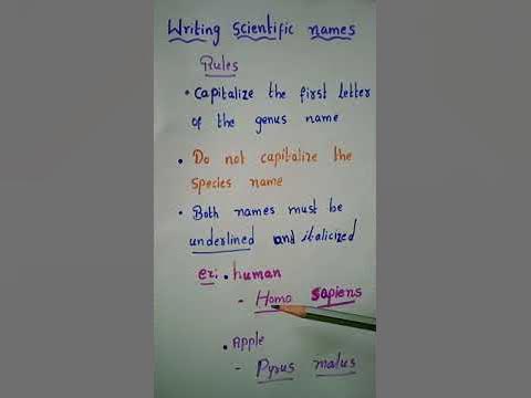 How to write scientific name || Rules ||Happy learning - YouTube