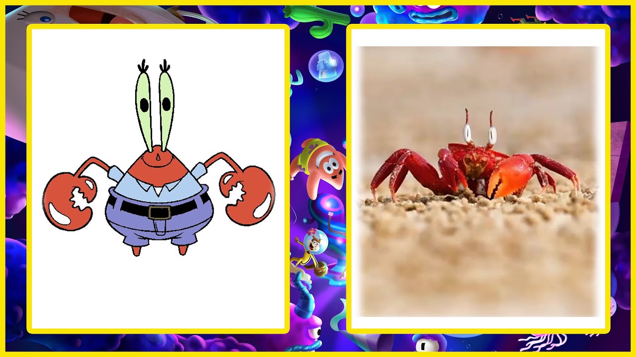 "From Animation to Reality: SpongeBob Characters in the Real World ...