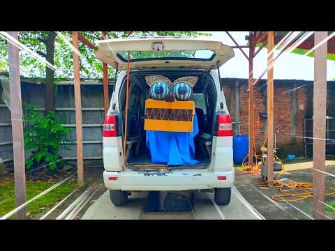 Semua Barongan Keluar Dari Mobil Van Putih