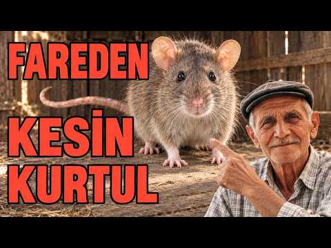 Farelere SON! Eskilerin Gizli Yöntemi (%100 Etkili)