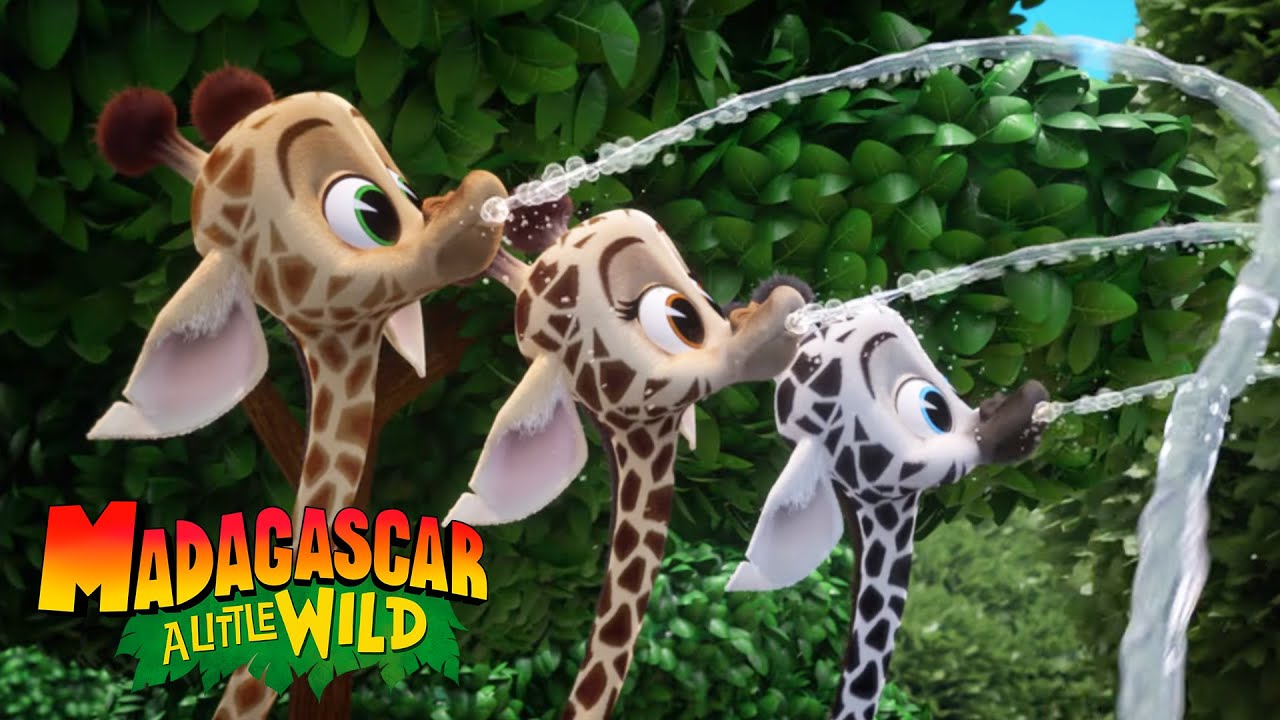 Melman's New Herd | MADAGASCAR A LITTLE WILD - YouTube