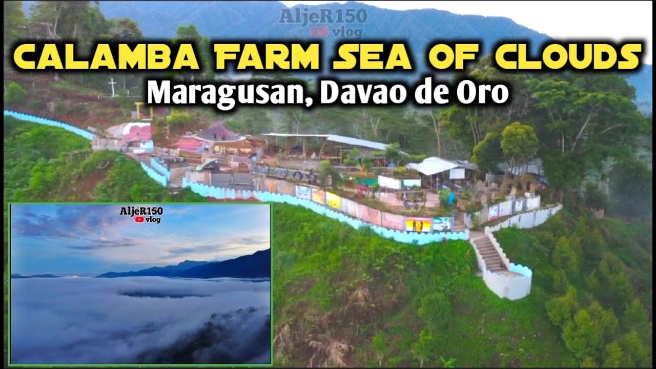 Sea of Clouds | Calamba Farm | Maragusan de Oro - YouTube