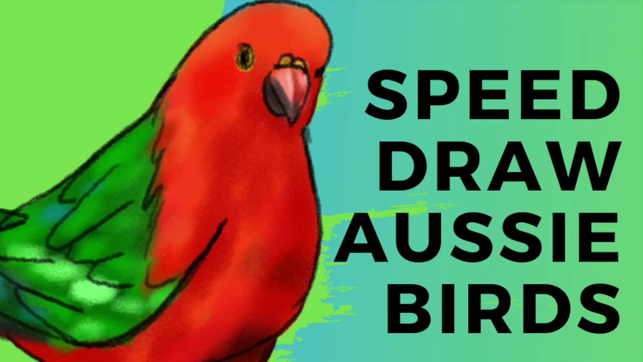 Speed Draw - How to Draw Aussie Birds - YouTube
