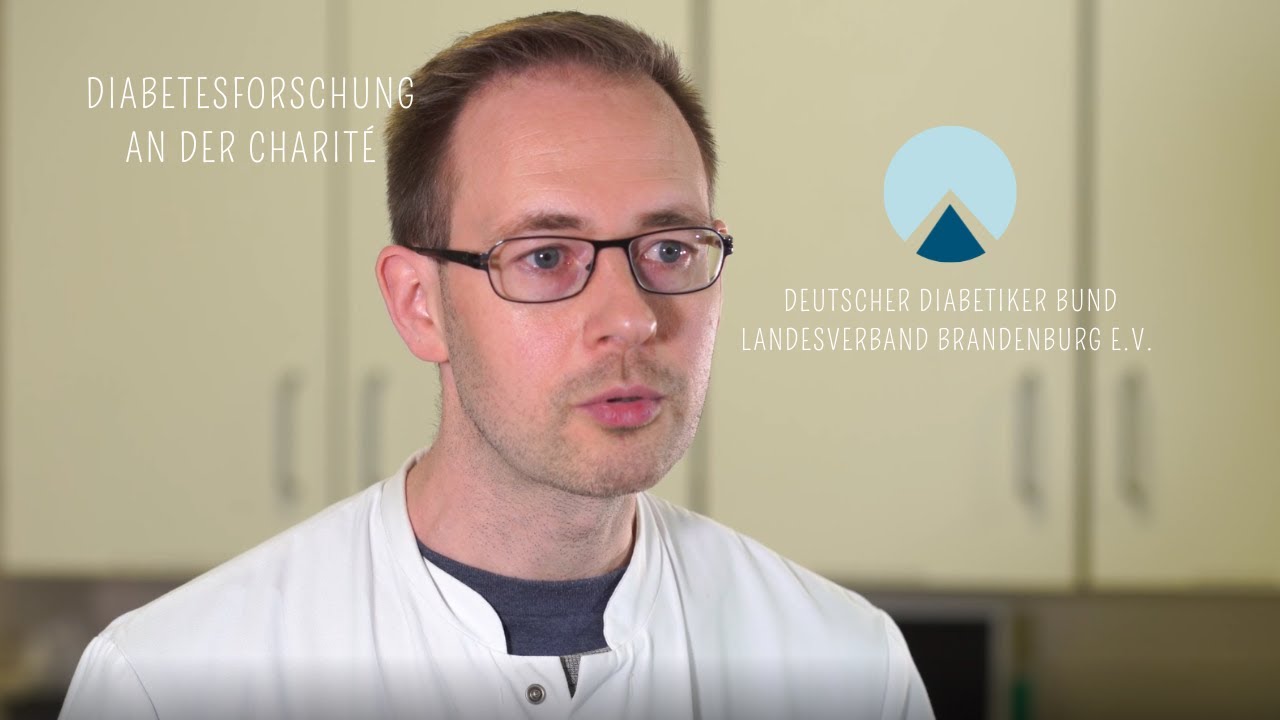 Diabetesforschung: Interview mit Dr. med. Stefan Kabisch (Dezember 2022 ...