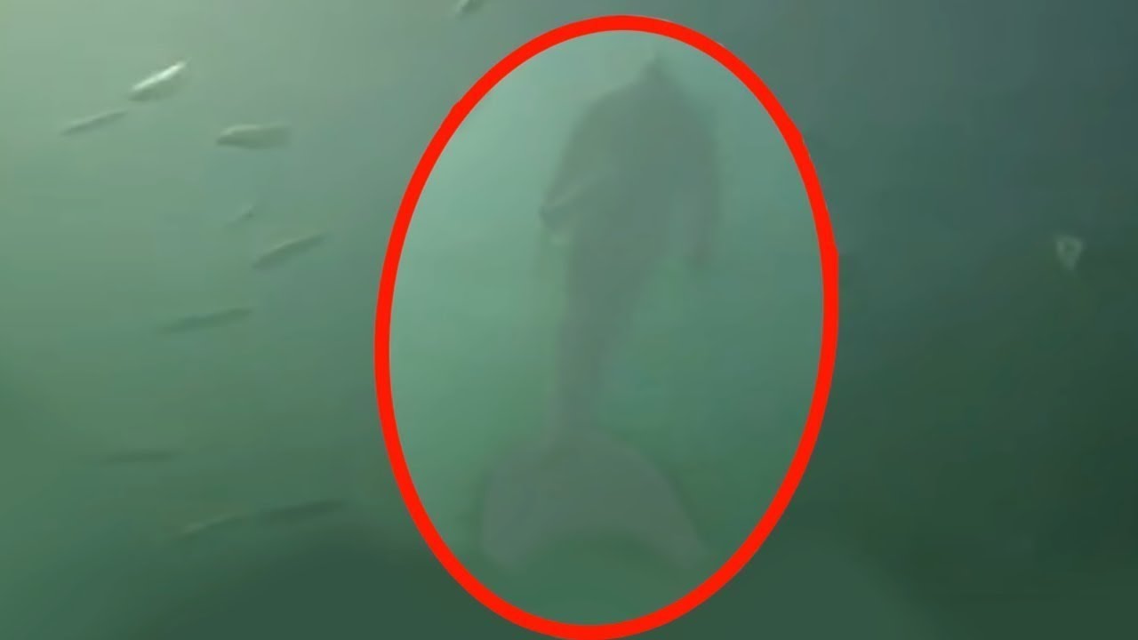5 Mermaids Caught On Camera & Spotted In Real Life! - YouTube