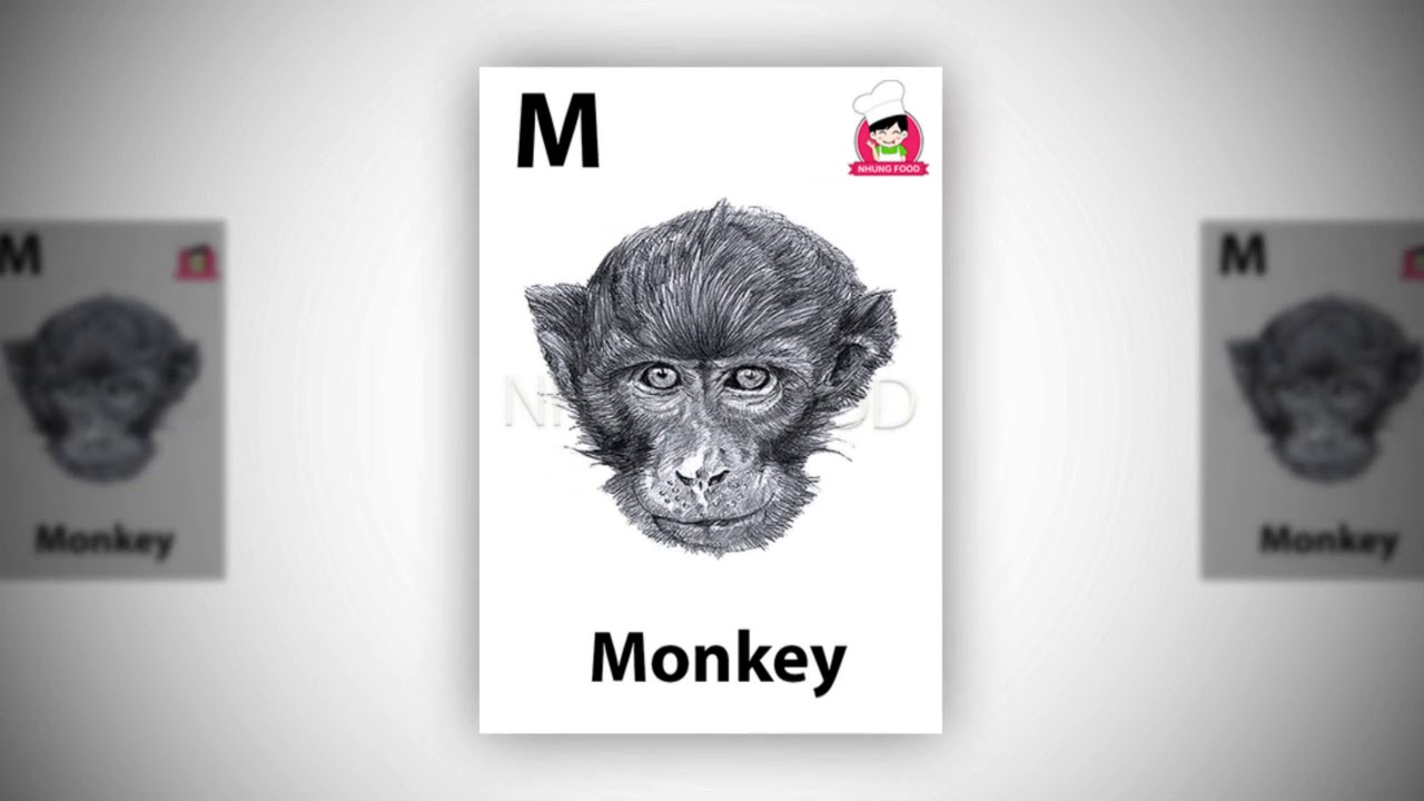 ALL animal 4d+ cards free download - Tổng hợp hình trong ANIMAL 4D ...