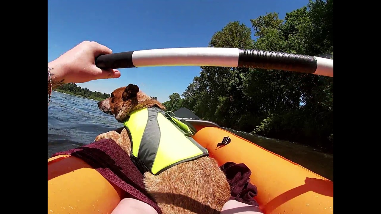 Taking My Dog Kayaking For First Time On Inflatable Kayak! (Also ...