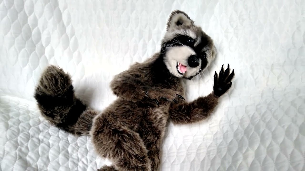 Realistic handmade toy Raccoon Miko - YouTube
