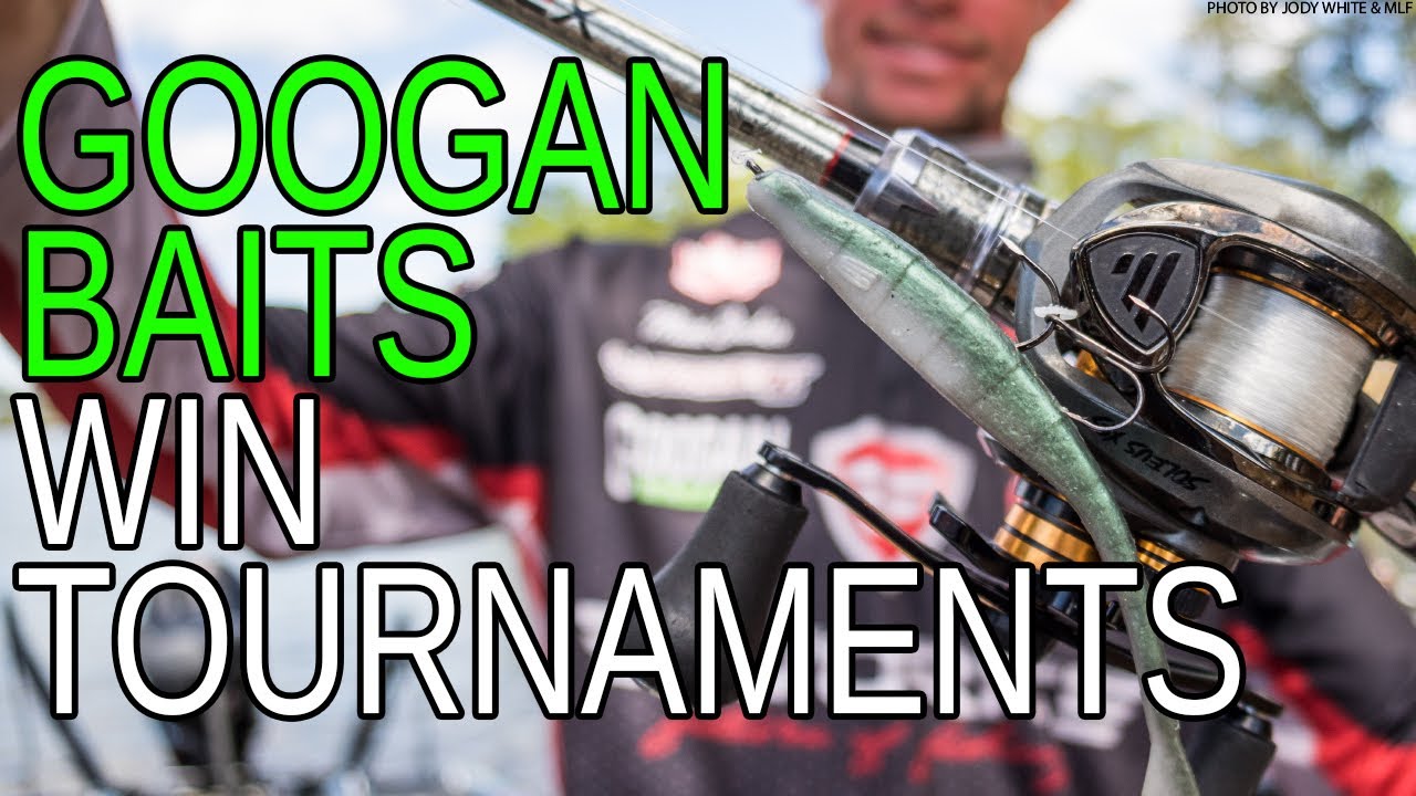 Big Bass Devour Herring in the Spring - YouTube