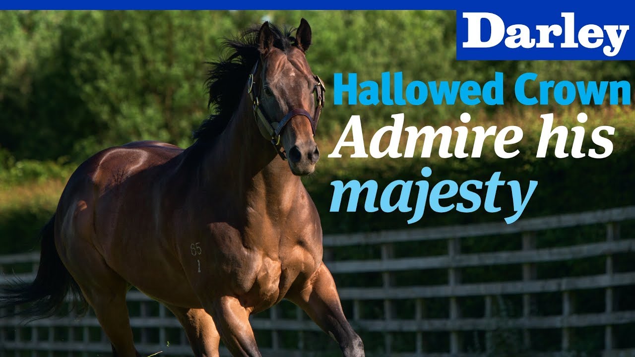 Hallowed Crown - admire his majesty - YouTube