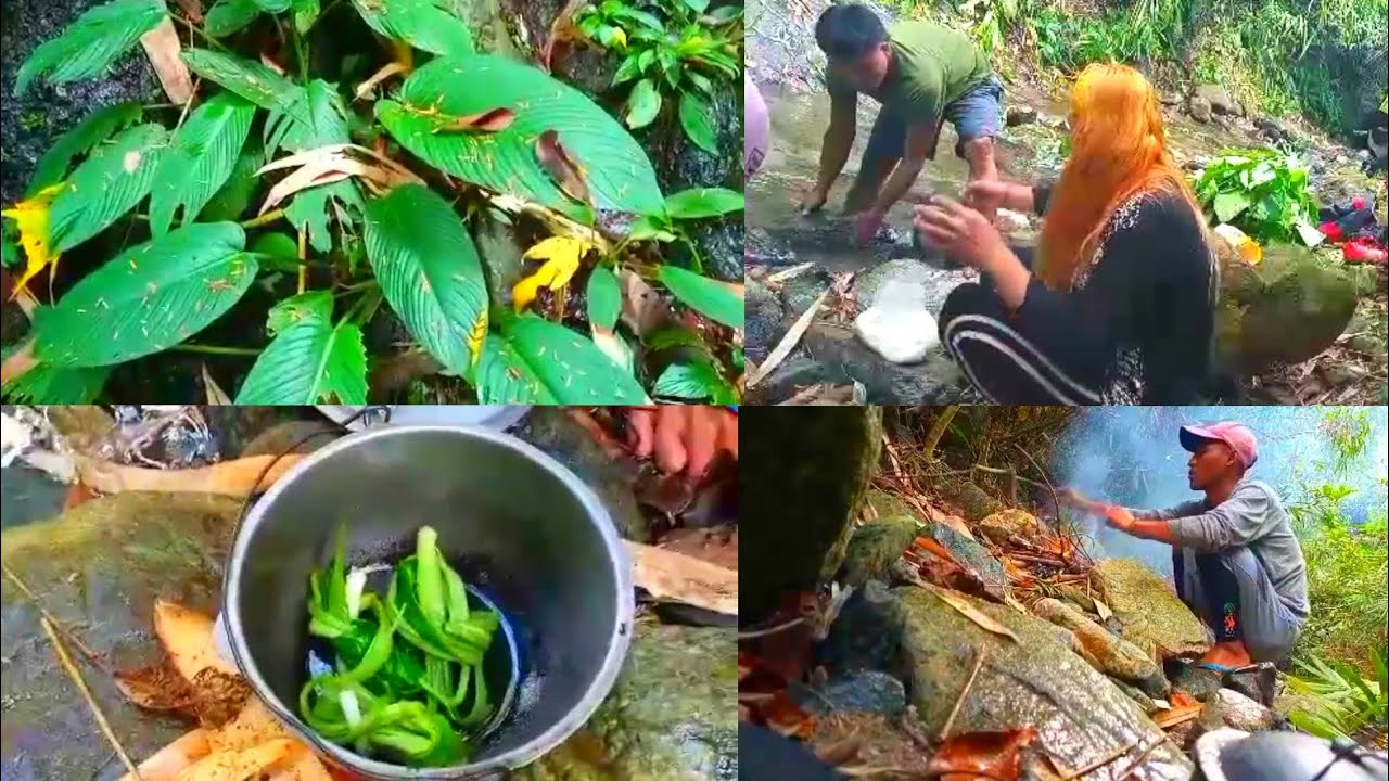 "BILAGOT" INDIGENOUS VEGETABLE | Ilocos Norte treasure nature beauty ...