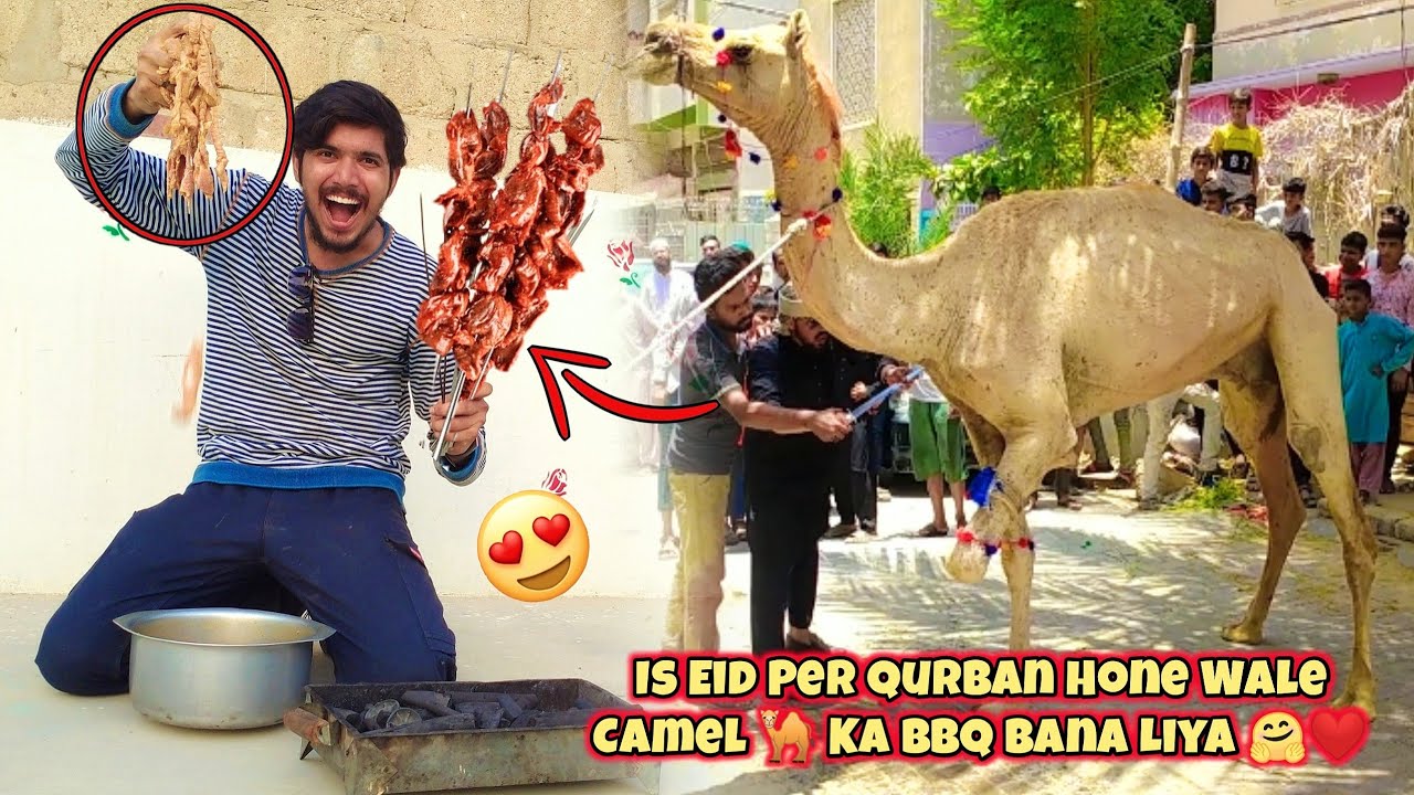 Eid Per Qurban Hone Wale Camel 🐪 K Gosht Ka BBQ Bana Liya 😋😍 camel ...