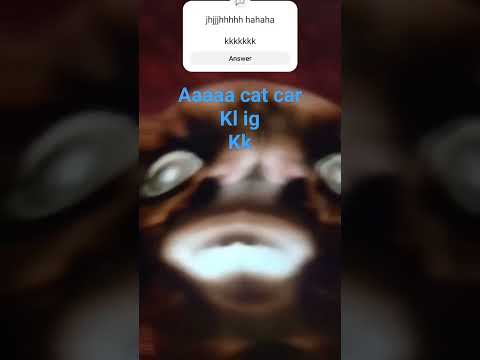 aaaaaa hahah cat cklckl - YouTube
