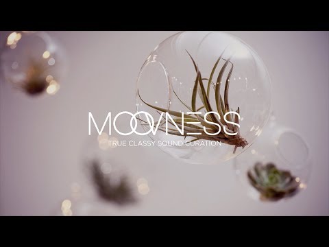 MOONCHILD - CURE (GREYBOX REMIX) - YouTube