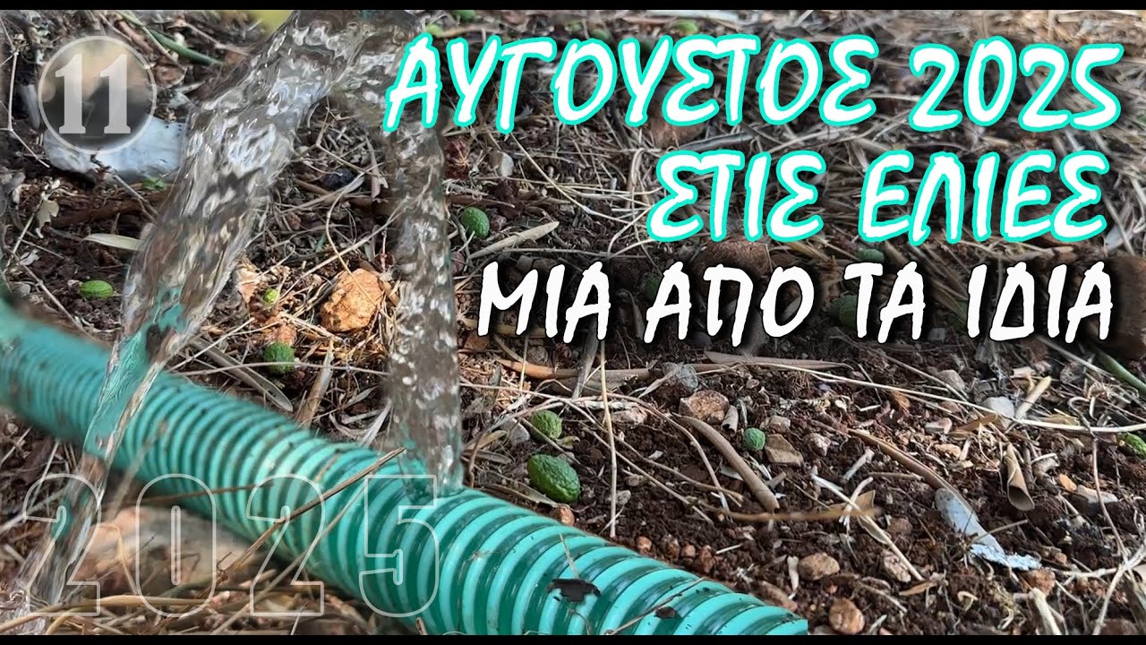ΚΑΚΟΣ ΑΥΓΟΥΣΤΟΣ ΓΙΑ ΤΑ ΚΤΗΜΑΤΑ ΚΑΙ ΦΕΤΟΣ - YouTube