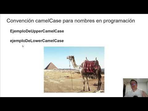 Programación desde cero, video 23 de 29. JavaScript: Camel case y ...
