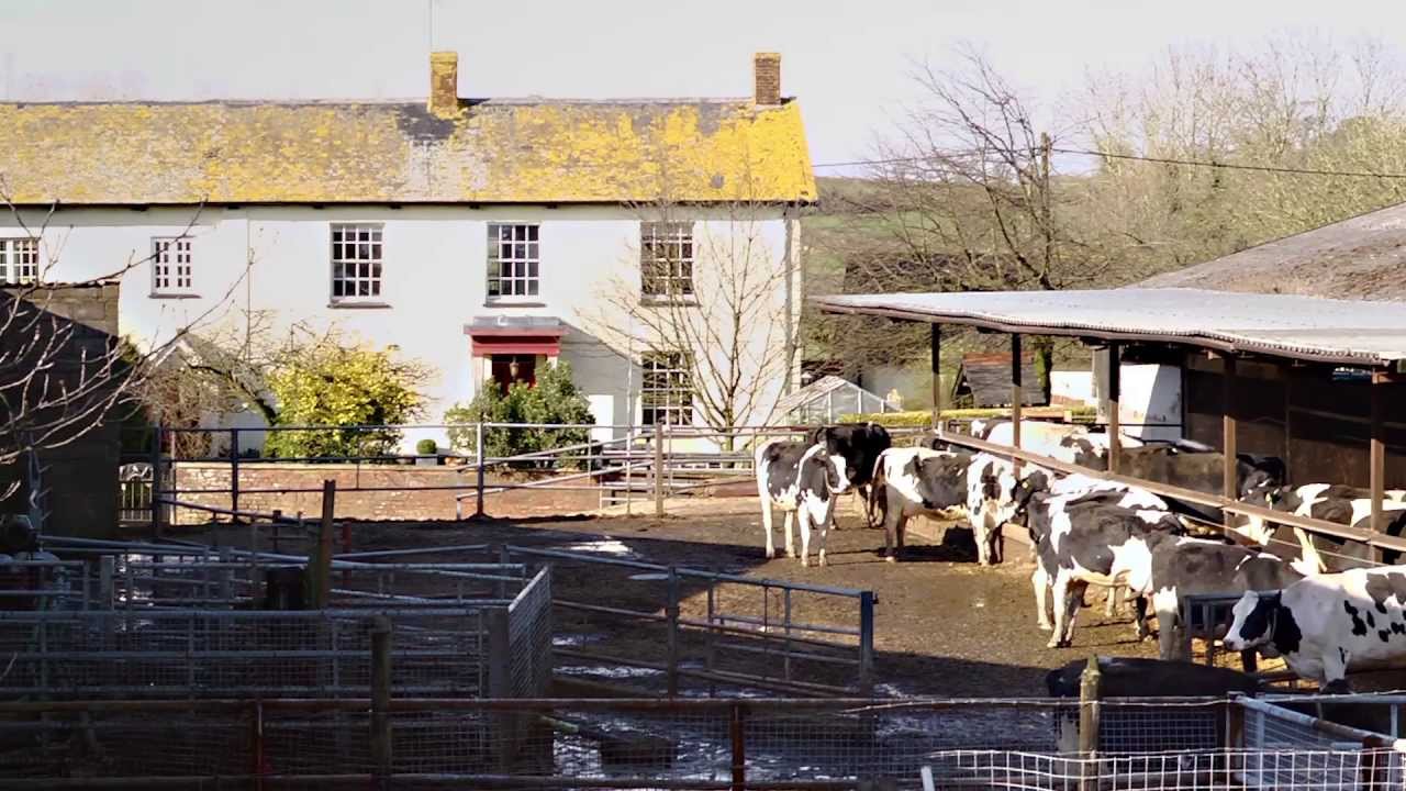 A clear solution for farmers - Farm Yard Infrastructure - YouTube