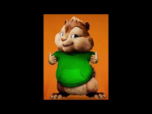 Domhan Chipmunk Fattest