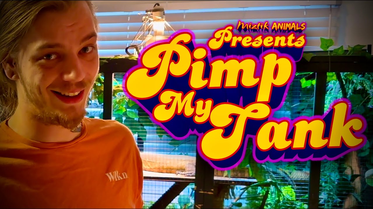 Hoping MTV won't sue me! PIMP MY TANK!!! - YouTube