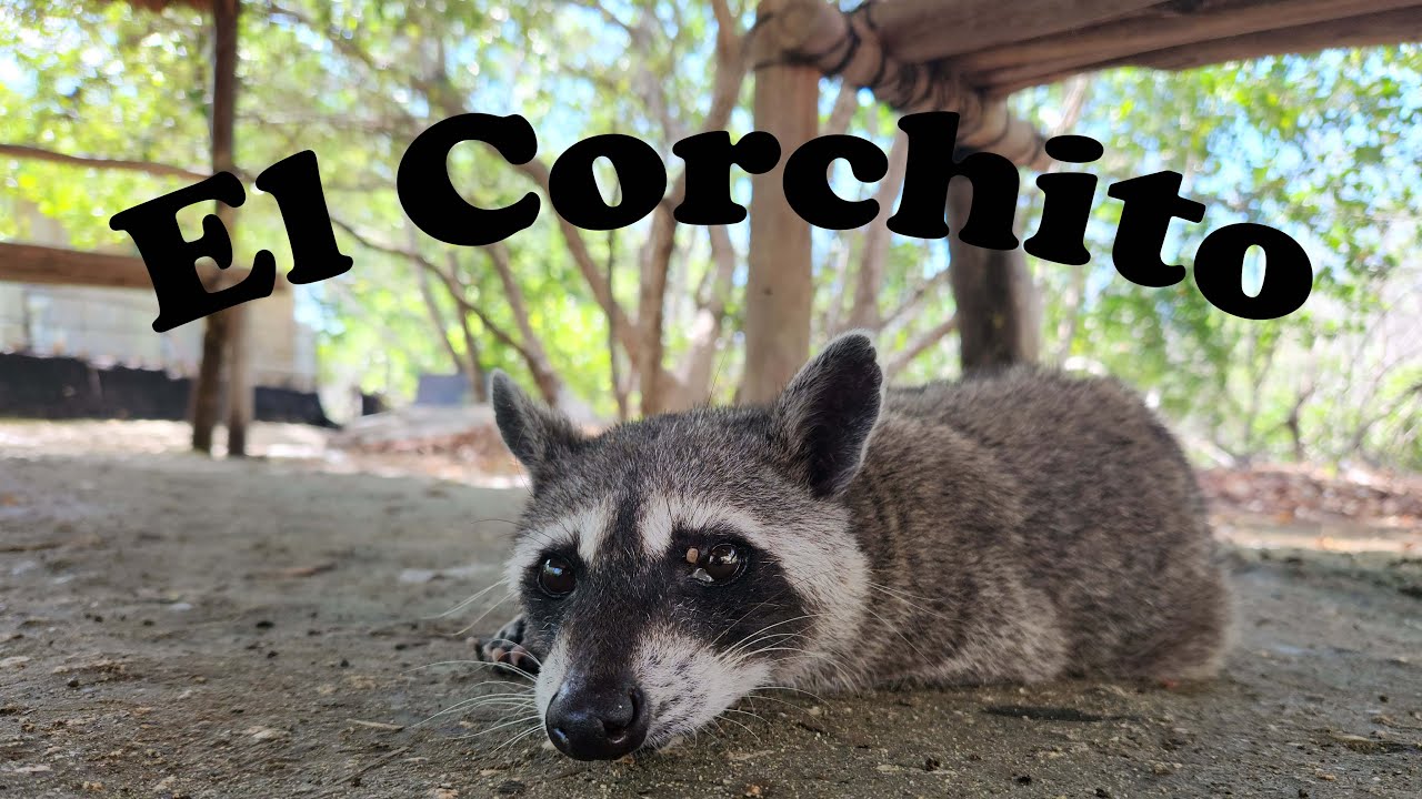 Visistando la Reserva Ecologica el Corchito, con mi mama. Yucatan ...