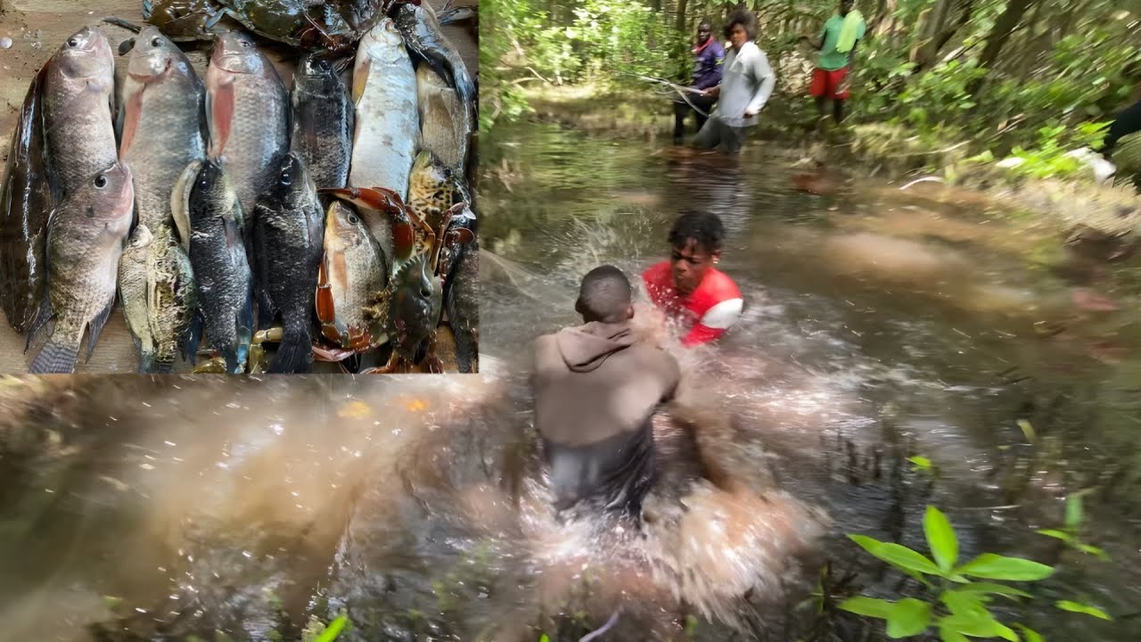 Adventure walk through a crocodile infested waters for sea crabs and ...