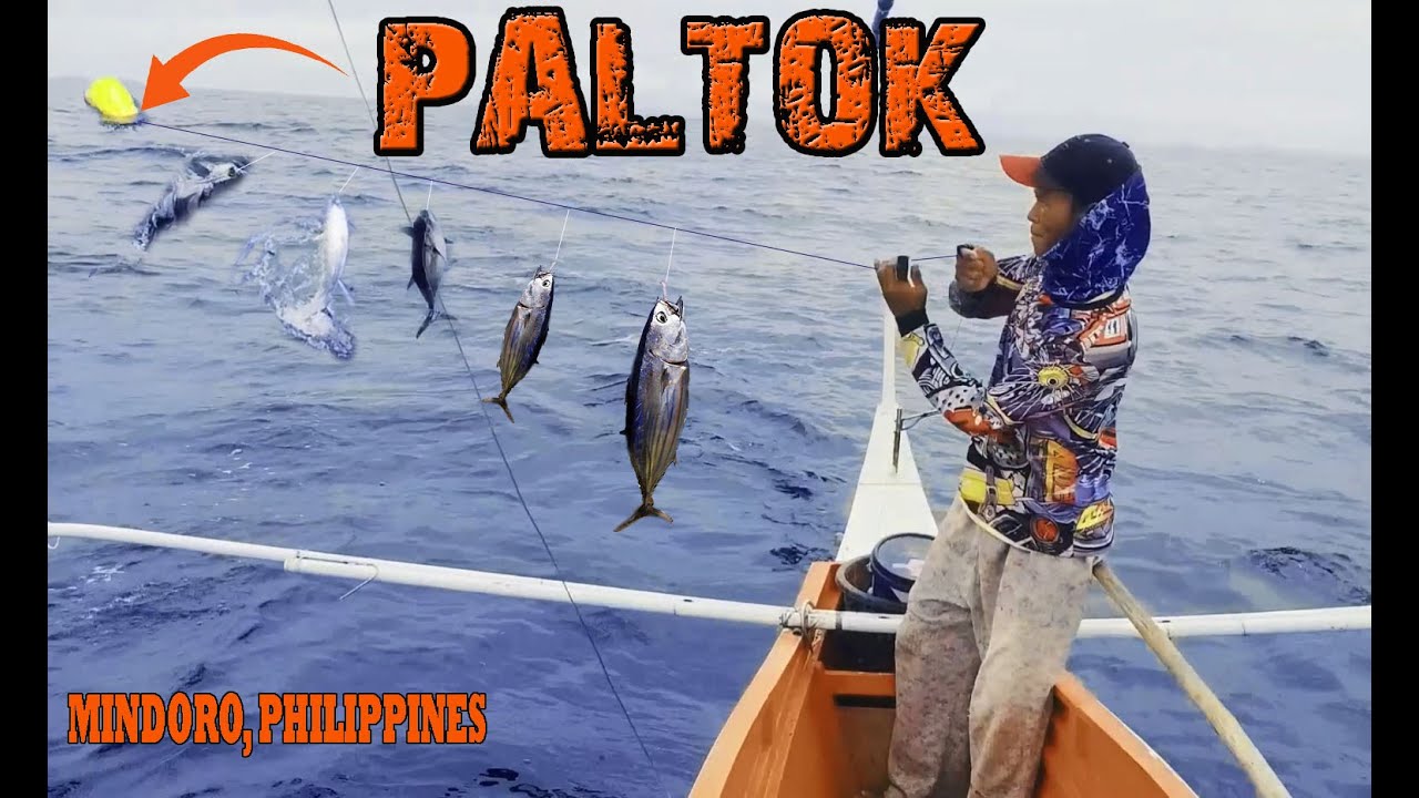 7 SKIPJACK TUNA SA PALTOK SAMPA| KA-BOYBOY TV - YouTube