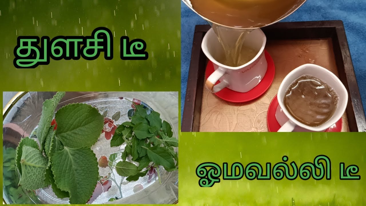 Tulasi Tea in Tamil|Omavalli Tea in Tamil|Karpooravalli Tea in Tamil ...