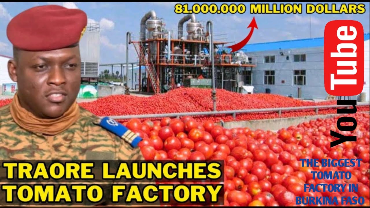 The biggest tomato factory in Burkina Faso #tomato #factory # ...