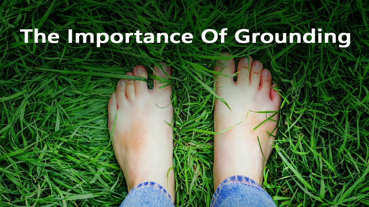 Animal Communication Basics : Grounding & It's Importance In Telepathic ...