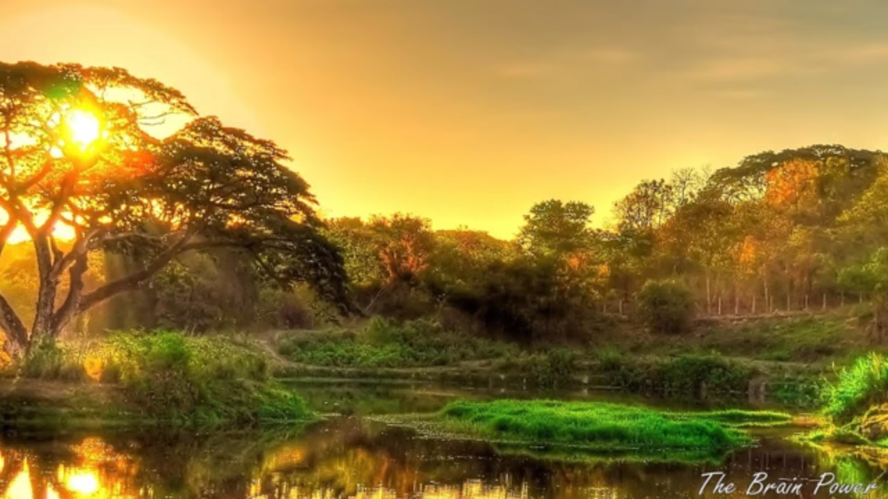 Sleep Relaxing Music with Beautiful Slideshow - 127 songs 7 hours - YouTube