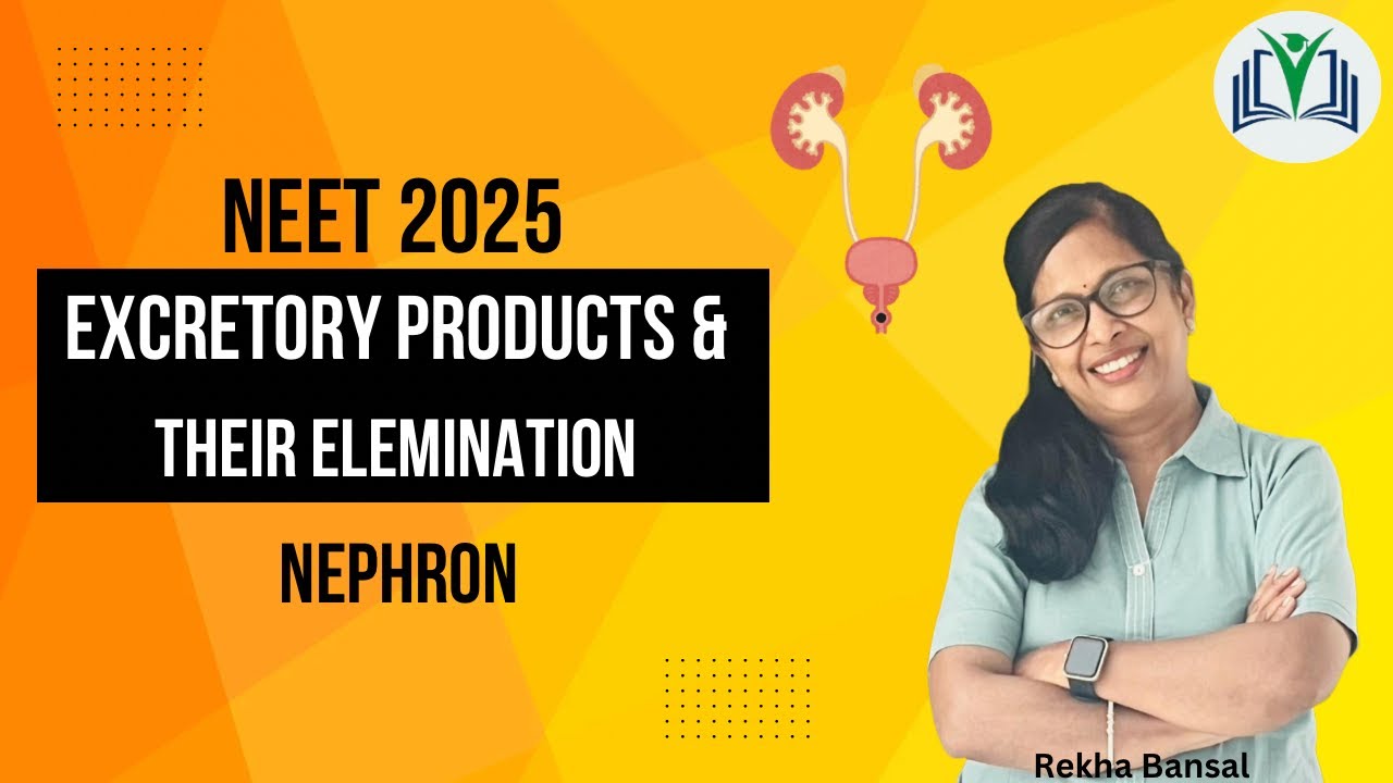 Chapter 16/ Excretory Products and their Elimination/ Structure of ...