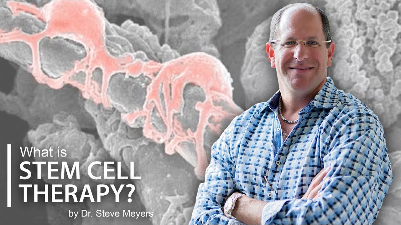Regenerative Stem Cell Therapy Explained - Dr. Steve Meyers - YouTube