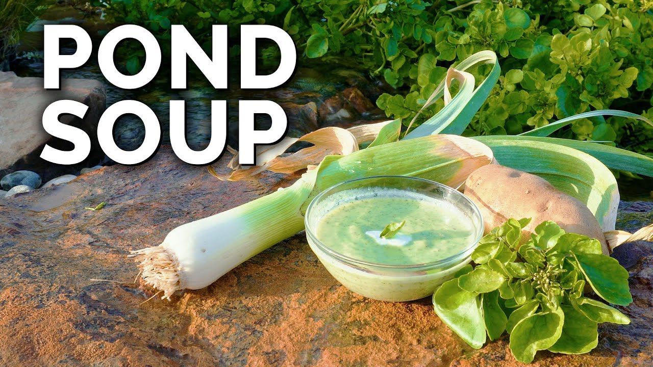 Making a Delicious Homegrown Soup From The Epic Pond! - YouTube