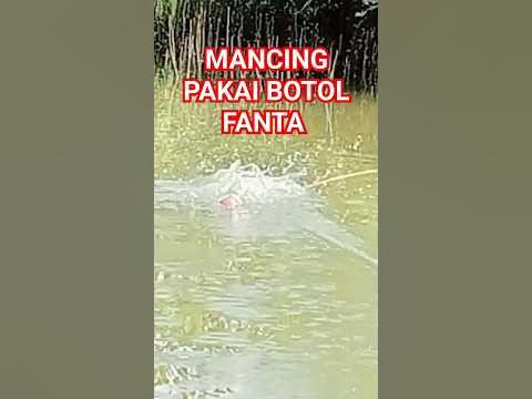 cara mudah mancing belanak pakai botol fanta size 1 liter - YouTube