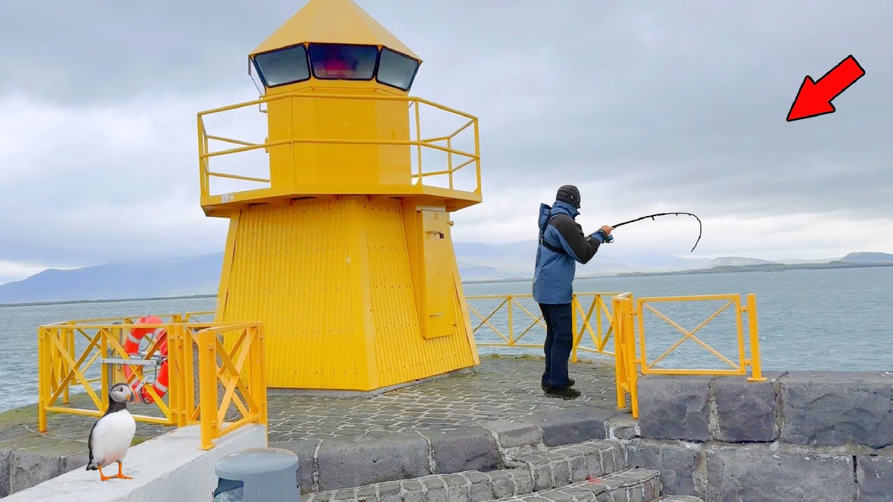 Fishing a Lighthouse Pier When Something CRAZY Happened! *ICELAND ...