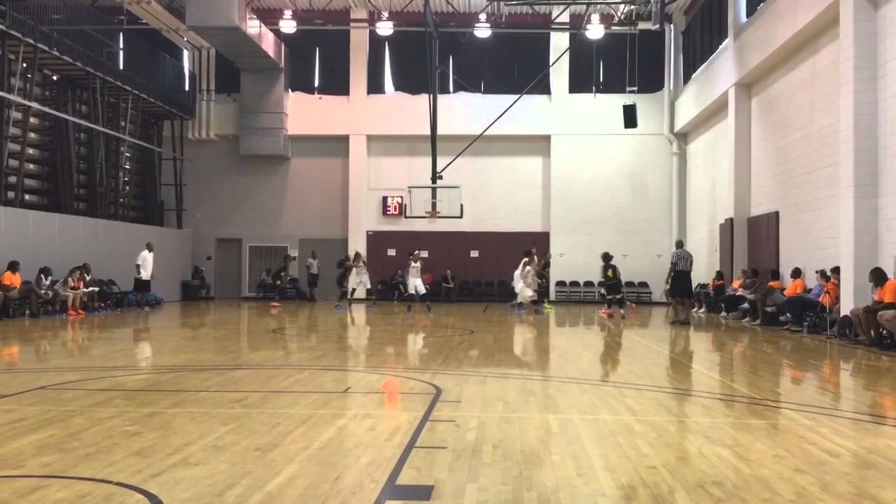 Aniyah Ross Basketball Highlights from Georgia and South Carolina ...