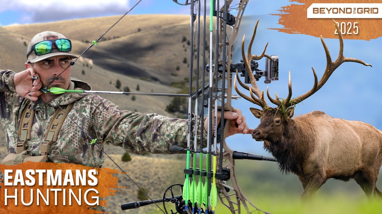 Public Land Beast! Bow Hunting Big Bulls with Brian Barney - YouTube