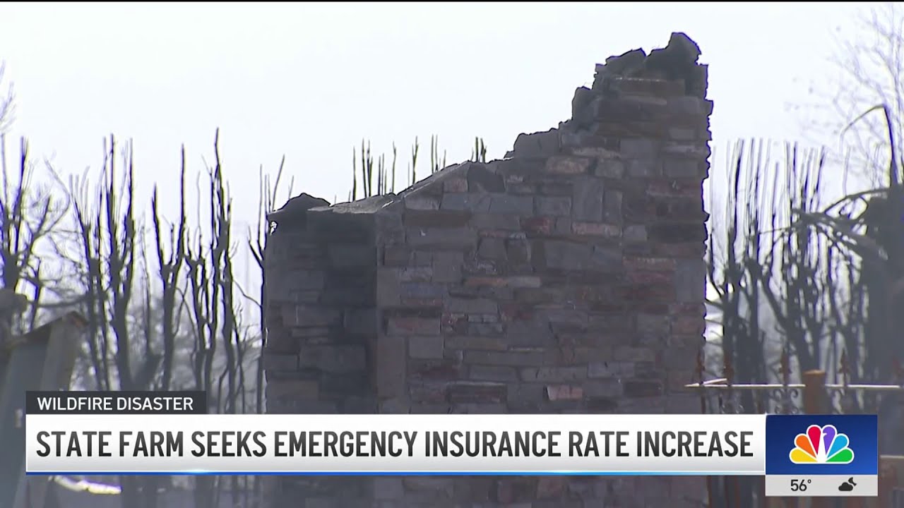 State Farm seeks emergency insurance rate increase - YouTube