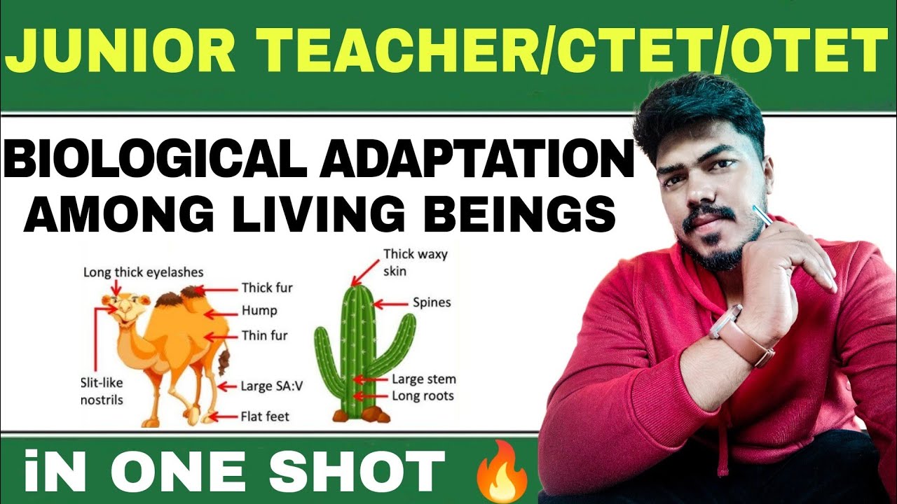 Biological Adaptation among Living beings || Junior Teacher || OTET || CTET || Life Science ...