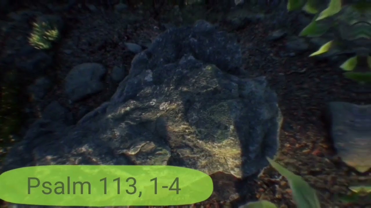 Psalm 113 1 4 YouTube