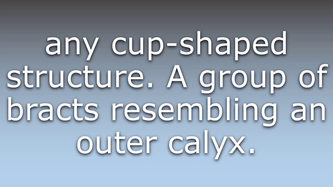 What does Calyculus mean? - YouTube