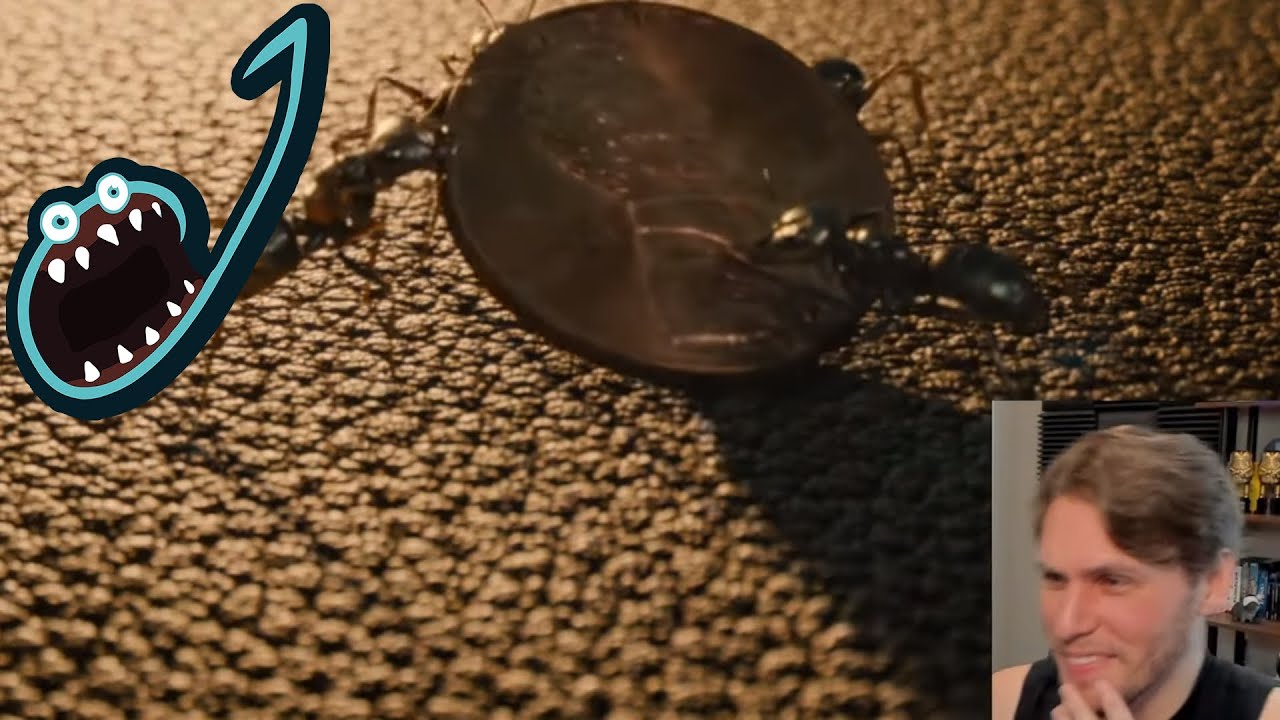 Jerma Streams - Tier Lists (Part 12) [Bug Edition] - YouTube