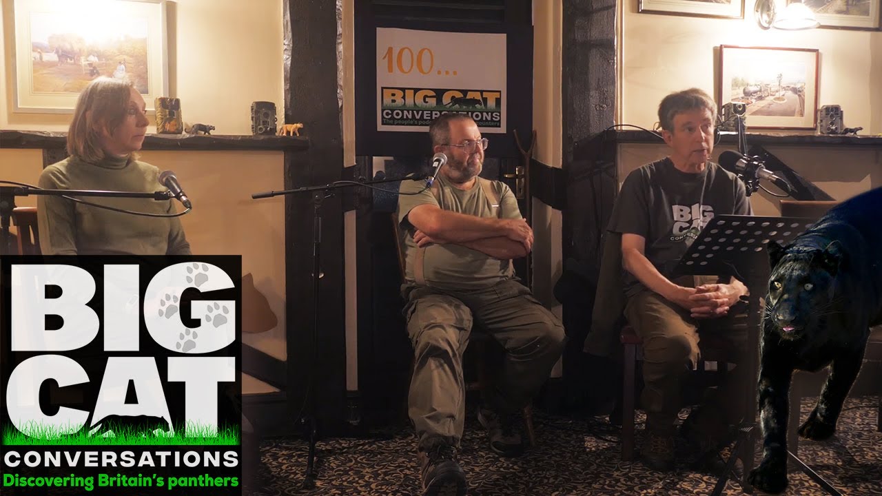 Big Cat Conversations podcast EP:100 EXTRACTS - YouTube