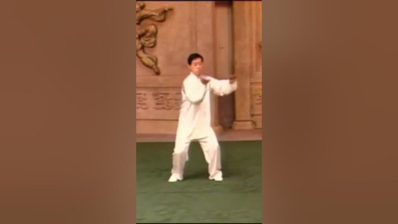 Chen Style Taiji Quan. Old Frame Laojia 2nd Routine - YouTube