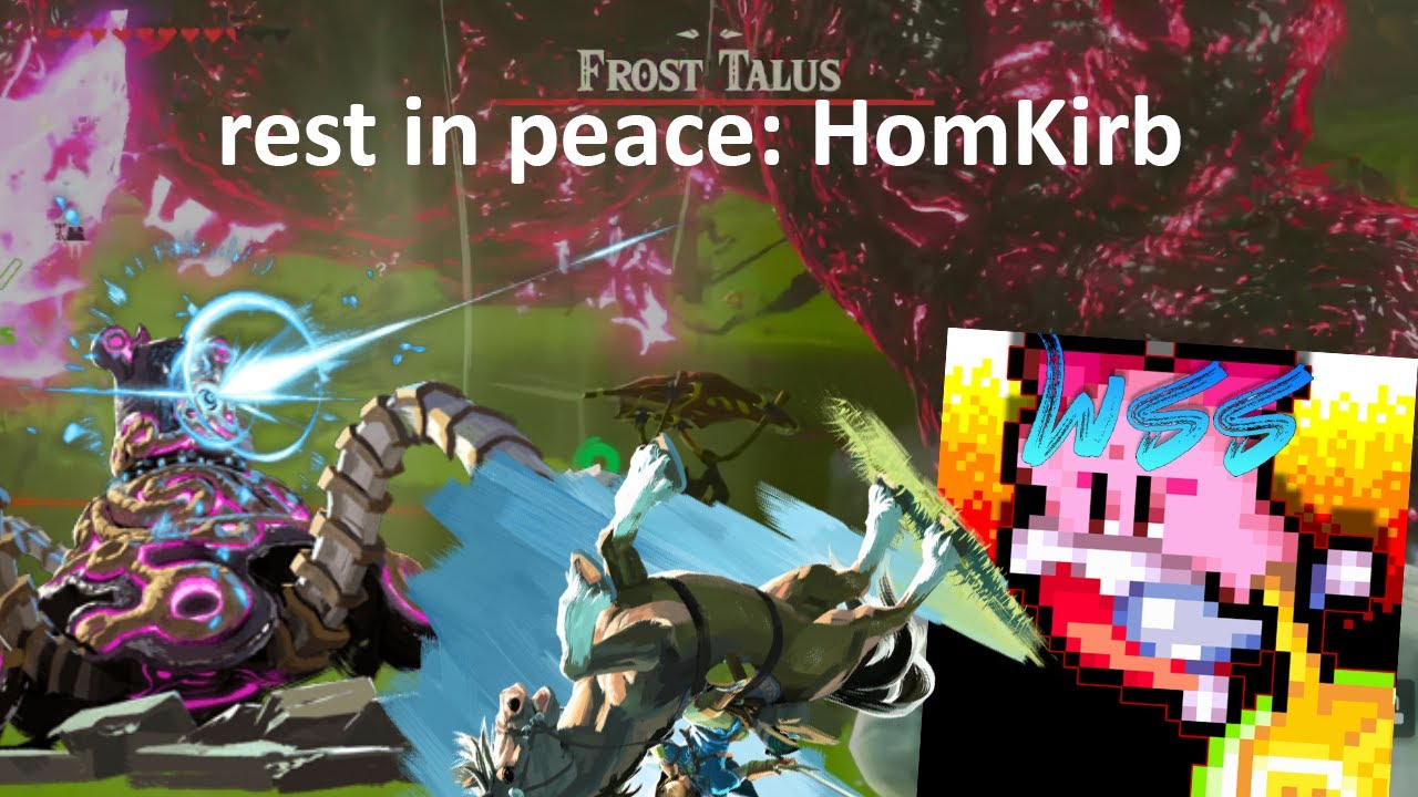 The Randomizer Finale? - YouTube