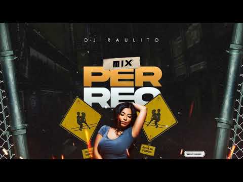 MIX REGGAETON ANTIGUO (PERREO INTENSO, BELLAQUEO) DJ RAULITO