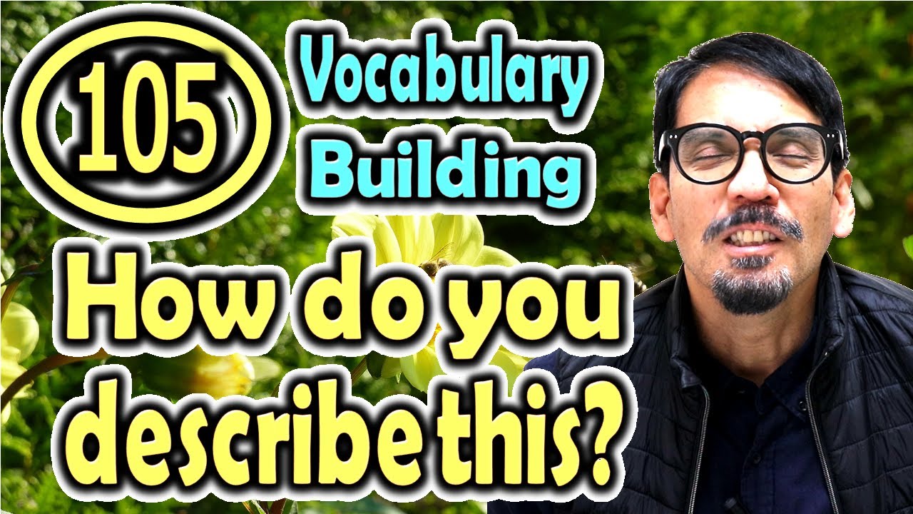 How do you describe this?(105) (Vocabulary Building) [ ForB English ...