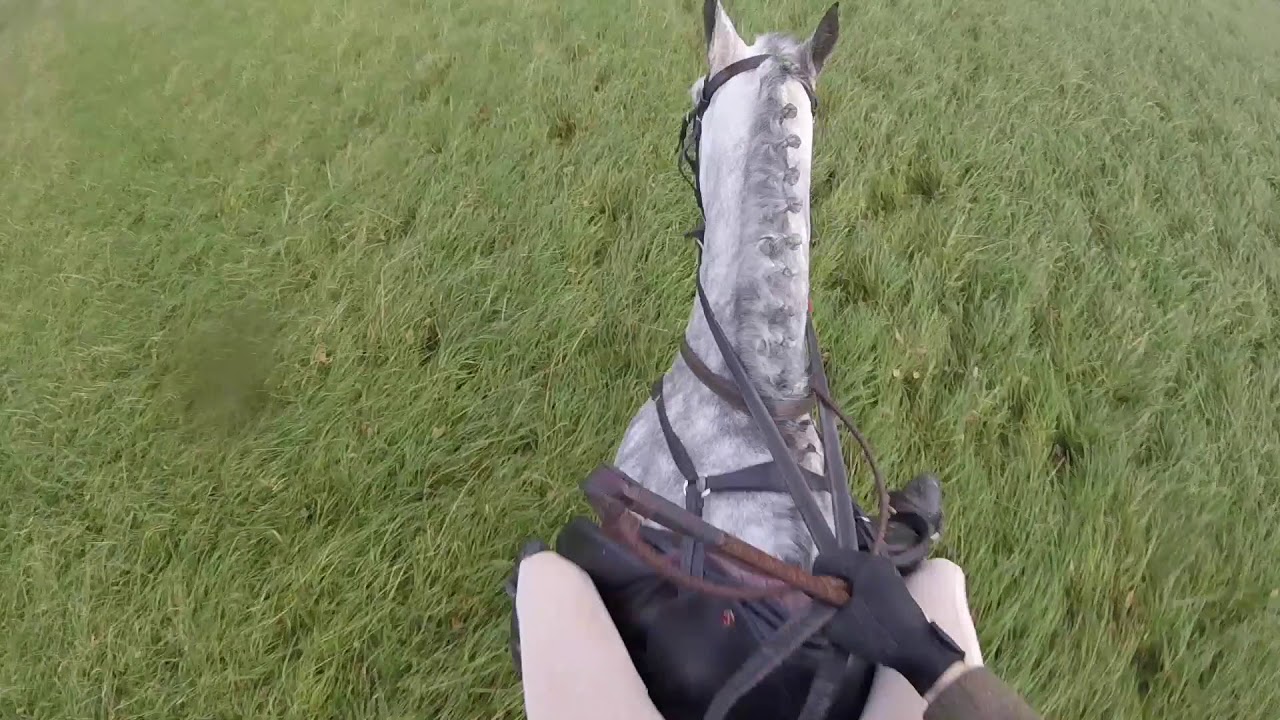 Portman Hunt 4/11/17 - YouTube